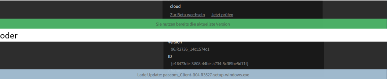 Wimmer IT – pascom Cloud